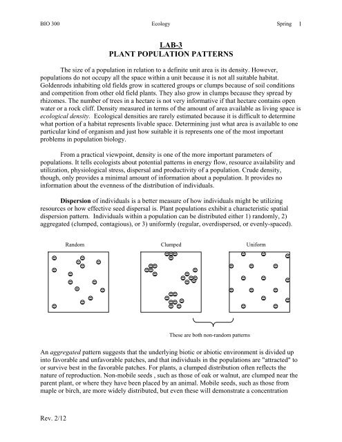 Random Population Distribution