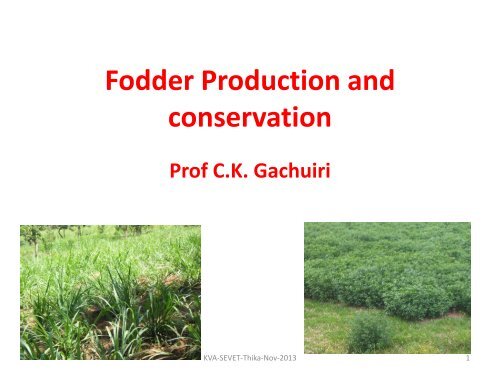 Fodder Production and conservation