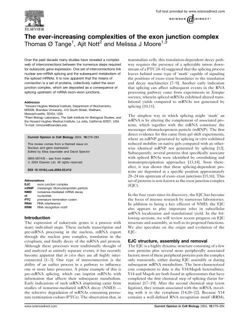 The ever-increasing complexities of the exon junction complex
