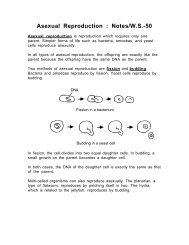 Worksheet: Asexual reproduction