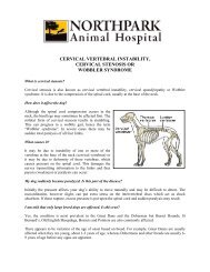 Cervical Spondylomyelopathy (Wobbler Syndrome) in Dogs