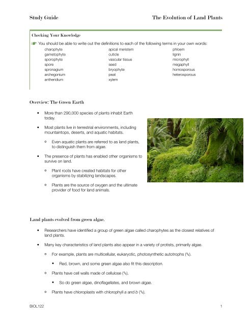 122 [Study Guide] 29-1 The Evolution of Land Plants