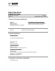 Safety Data Sheet - WorldAccount - BASF.com