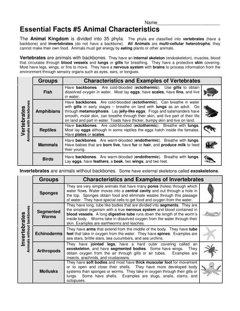 Essential Facts #5 Animal Characteristics