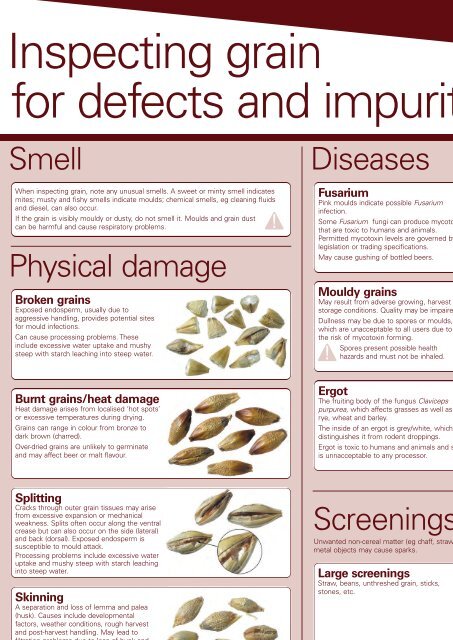 Inspecting grain for defects and impurities - HGCA