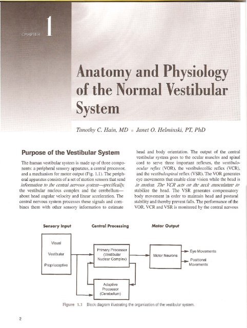 Anatomy and Physiology of the Normal Vestibular System