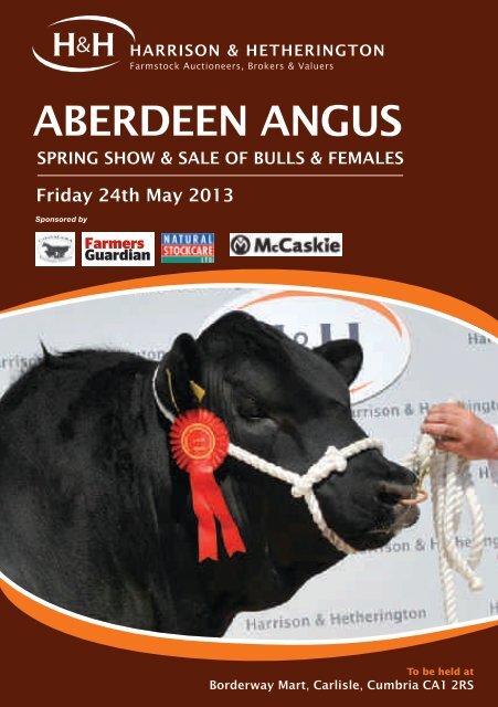 ABERDEEN ANGUS - Harrison & Hetherington
