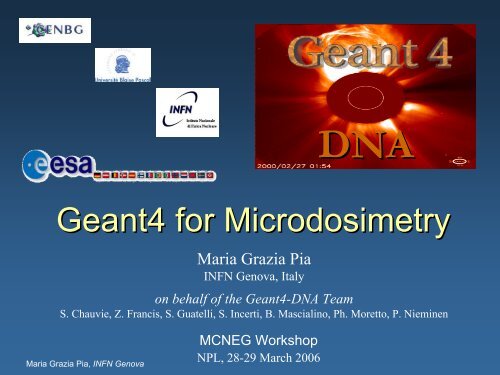 Geant4 Space Workshop - DNA