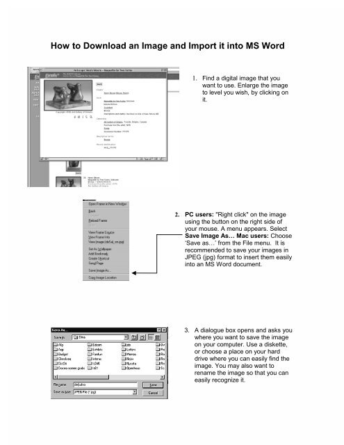 How to Download an Image and Import it into MS Word - Members