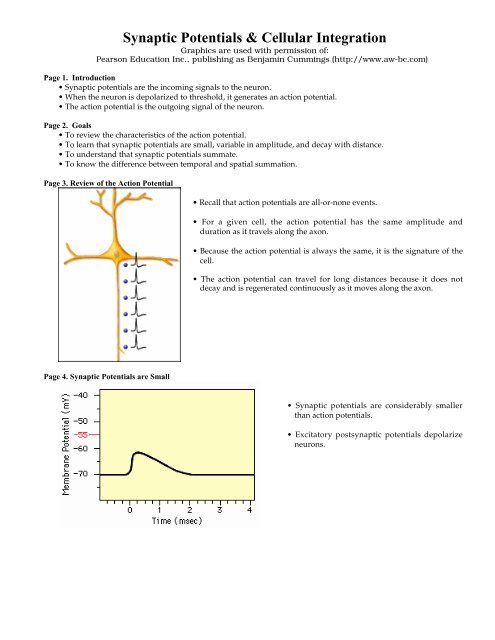 Synaptic Potentials & Cellular Integration - Pearson Synaptic Potentials & Cellular Integration - Pearson
