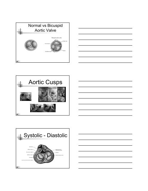 Dynamic Auscultation of Heart Sounds and Murmurs ...