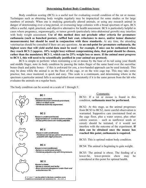 Rodent Body Condition Scoring Guide