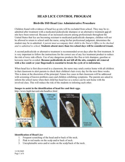 BISD Head Lice Policy