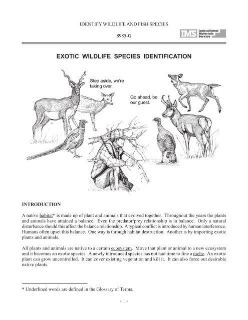 EXOTIC WILDLIFE SPECIES IDENTIFICATION