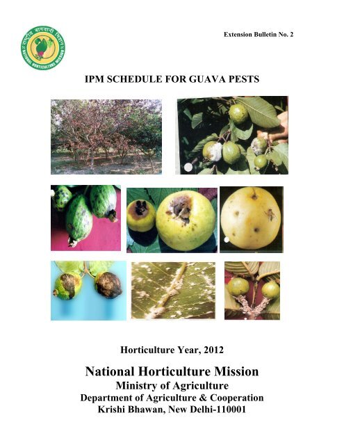 Guava - National Horticulture Mission