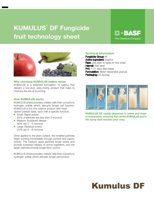 KUMULUS DF Fungicide fruit technology sheet - BASF Canada