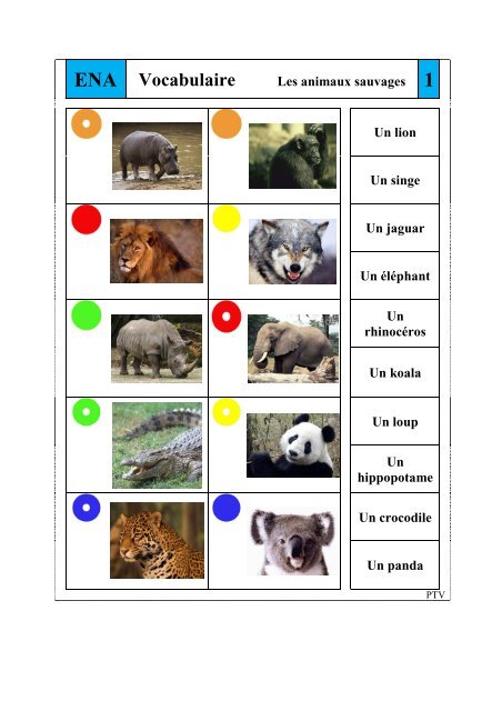 ENA vocabulaire - Les animaux sauvages 1
