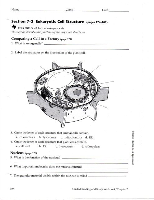Section 7â 2 Eukaryotic Cell Structure (pages 174-181)