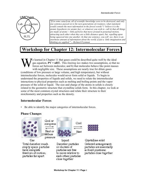 Workshop for Chapter 12: Intermolecular Forces
