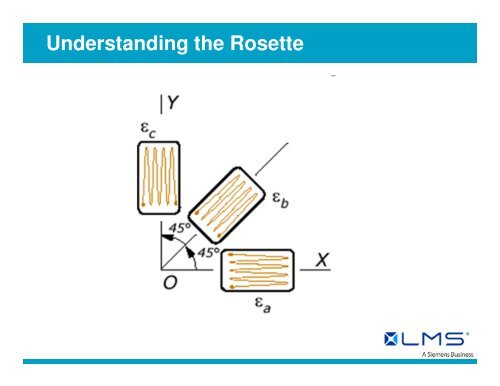 Understanding the Rosette