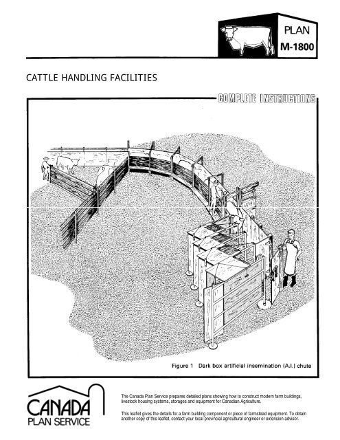 Cattle Working Facilities