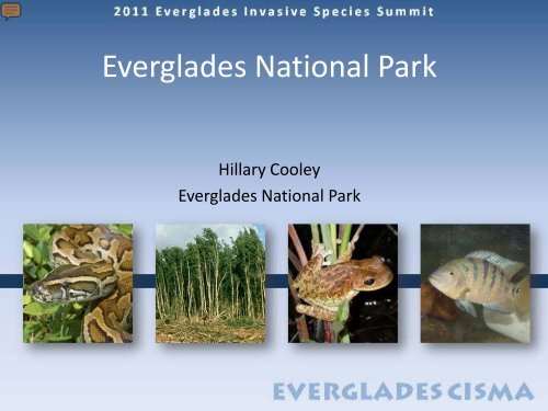 Plants - Everglades Cooperative Invasive Species Management Area
