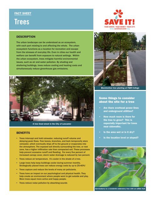 Trees (PDF) - Save It!