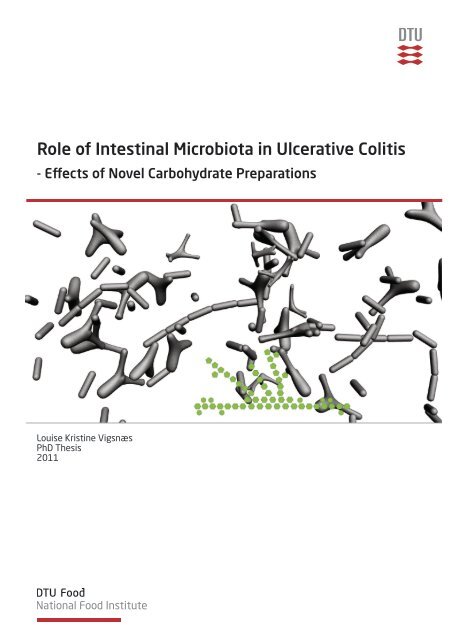 1. The intestinal environment