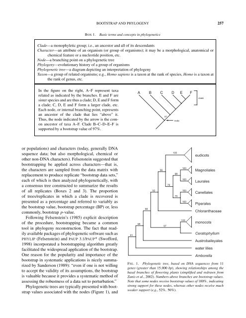 BOOTSTRAP AND PHYLOGENY 2