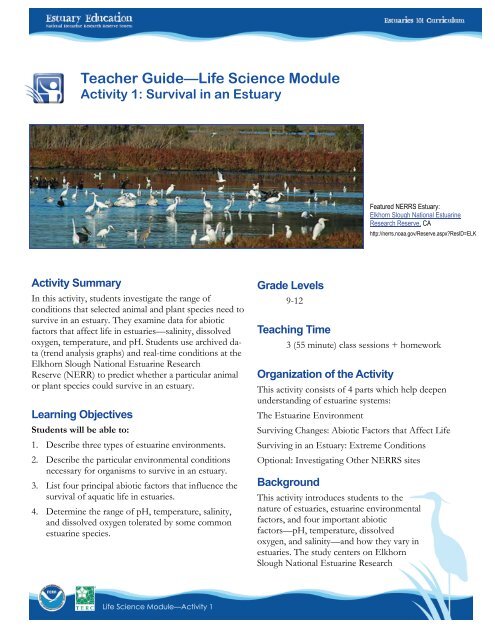 Estuary Animals And Plants List