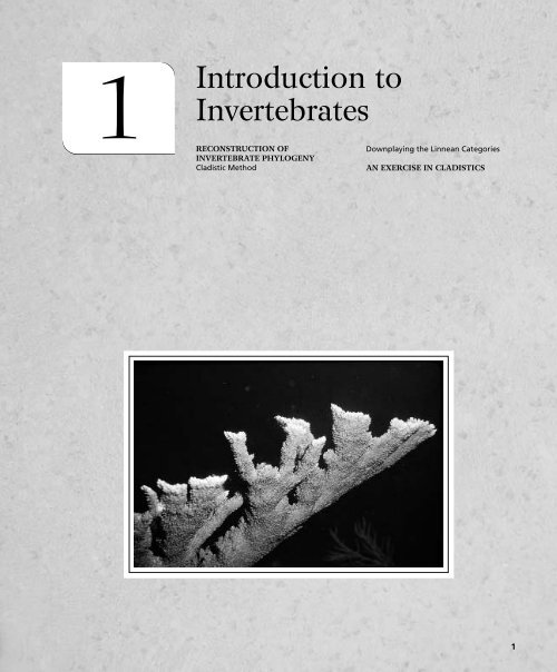 Introduction to Invertebrates