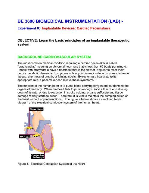 Experiment 8: Implantable Devices - Biomedical Engineering