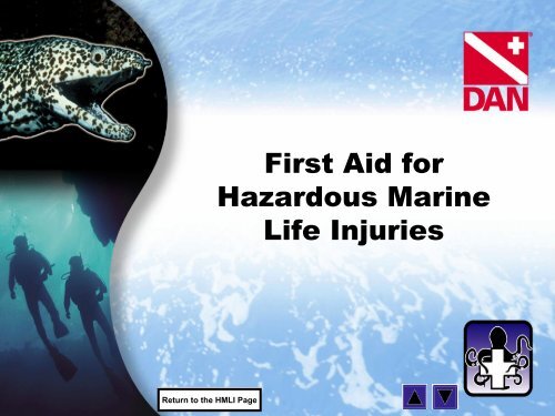 First Aid for Hazardous Marine Life Injuries