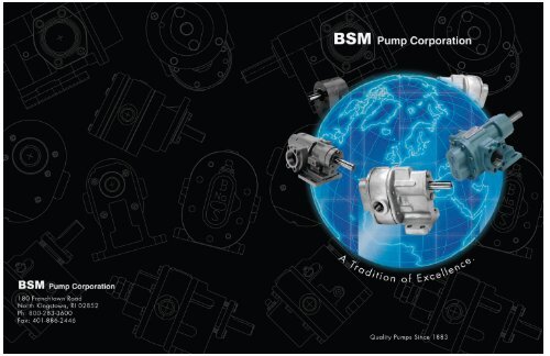 BSM ROTARY GEAR PUMPS