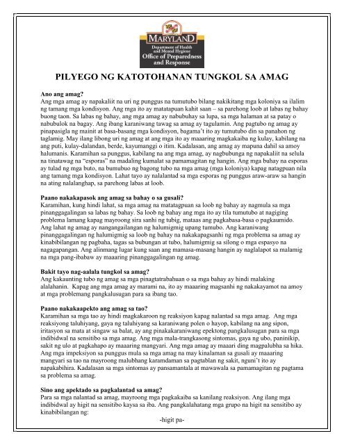 PILYEGO NG KATOTOHANAN TUNGKOL SA AMAG
