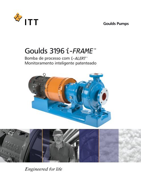 Goulds 3196