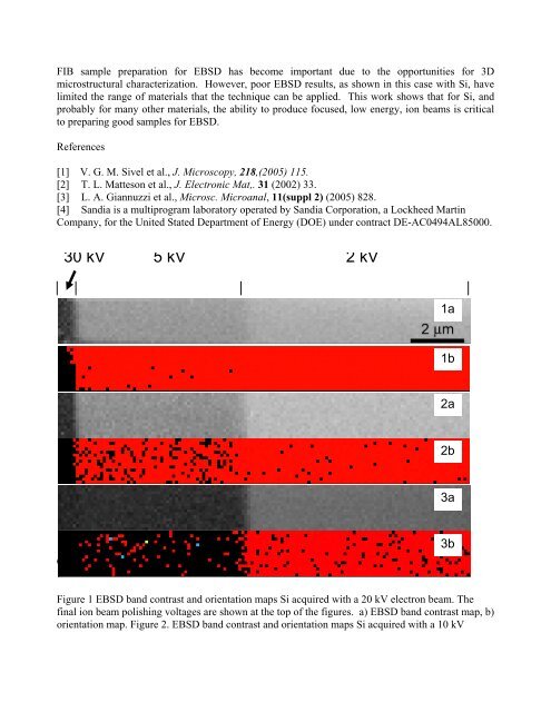 FIB sample preparation fo