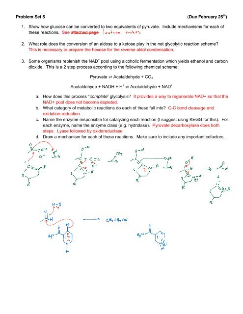 Problem Set 5 Key 