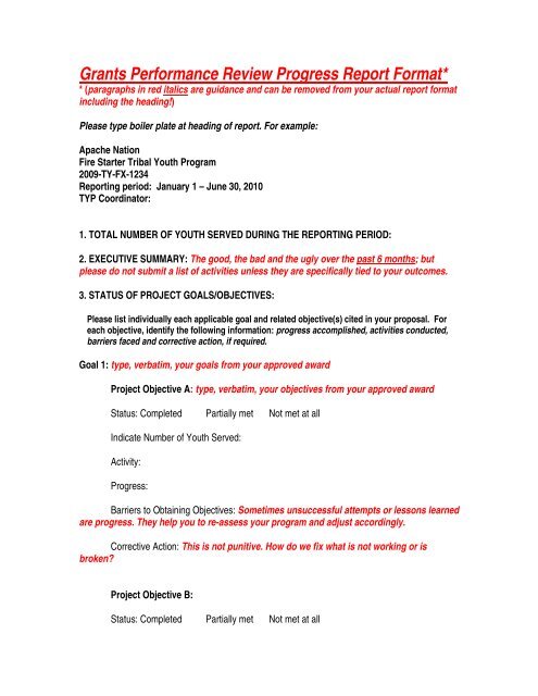 Grants Performance Review Progress Report Format*