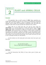 PLANT AND ANIMAL CELLS