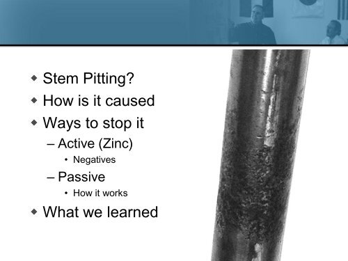 Stem Pittin