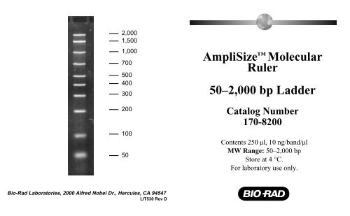 AmpliSize Molecular Ruler 50–2,000 bp Ladder