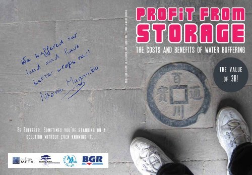 the costs and benefits of water buffering