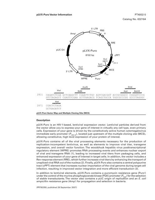 pLVX-Puro Vector Information