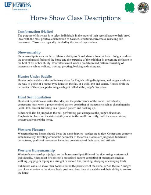 Horse Show Class Descriptions