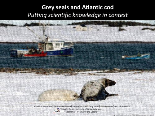Predator-Prey Relationships Between Atlantic Cod and Grey Seals