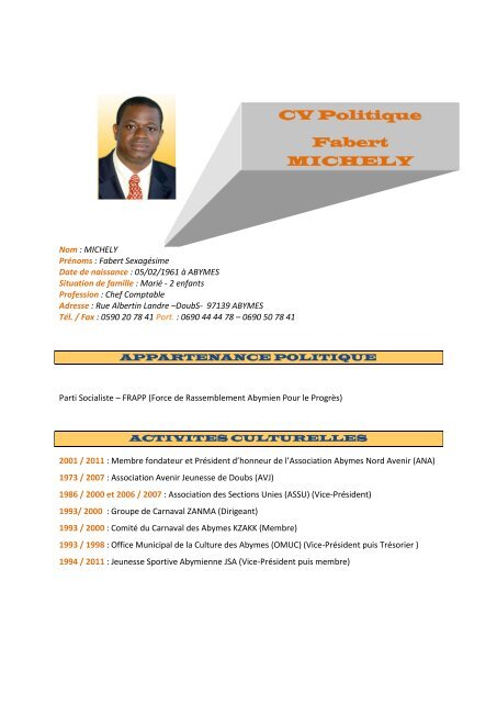 CV Politique Fabert MICHELY