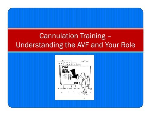 Cannulation Training – Understanding the AVF and Your Role
