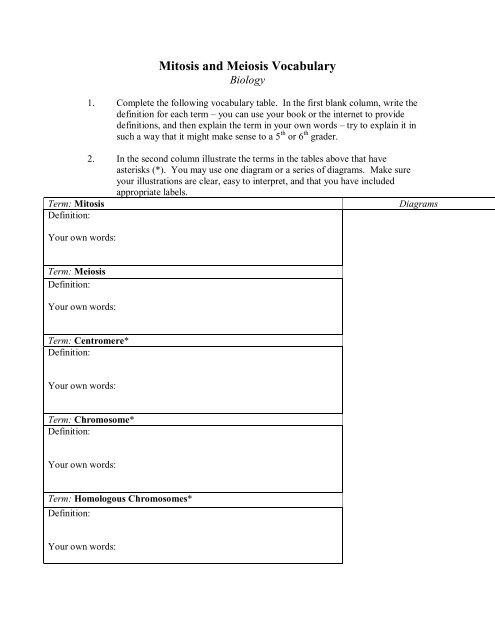 Mitosis and Meiosis Vocabulary