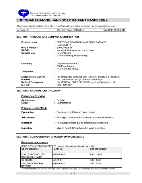 SOFTSOAP FOAMING HAND SOAP RADIANT RASPBERRY